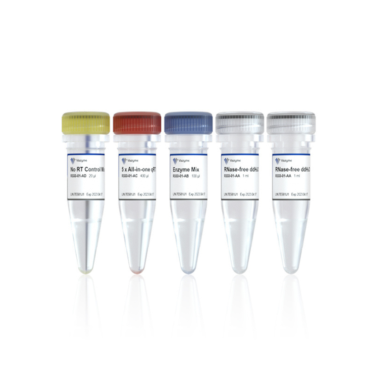 Vazyme – HiScript III All-in-one RT SuperMix Perfect for qPCR – All Products | DKSH Technology