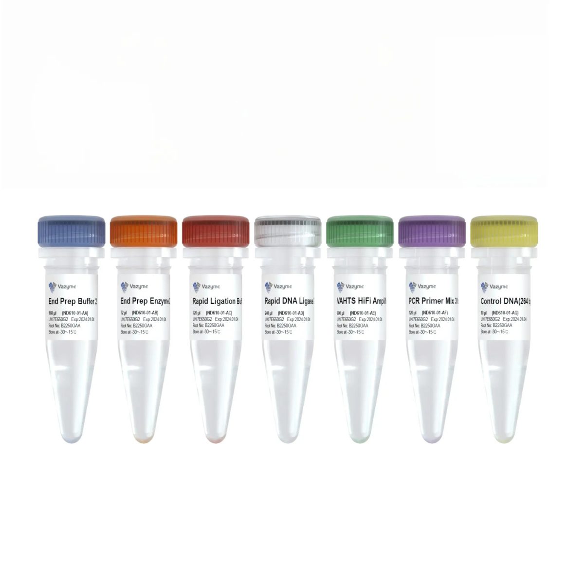 Vazyme – Vazyme Prep Kit – All Products | DKSH Technology